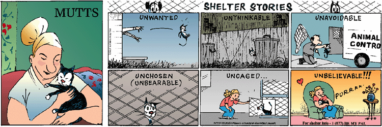 Mutts Say “Yesh!” | Surf'n Beach Scene Magazine